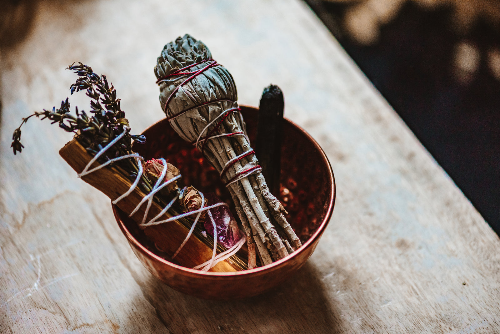 Craftmoor | Crystals, Smudge & Incense | Shells from the Sea